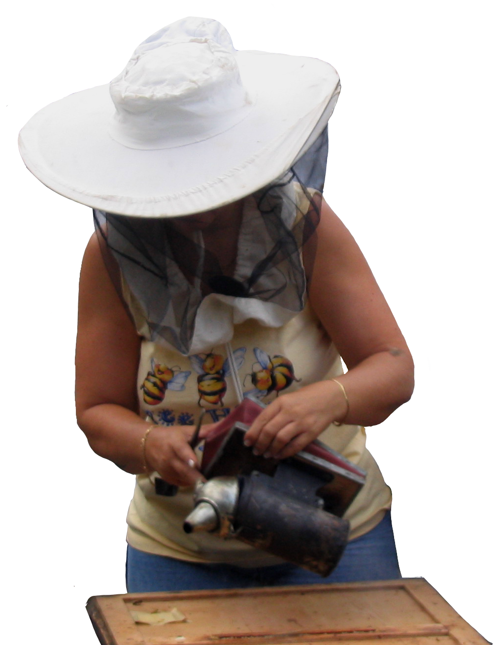 Accueil - Apidecouverte