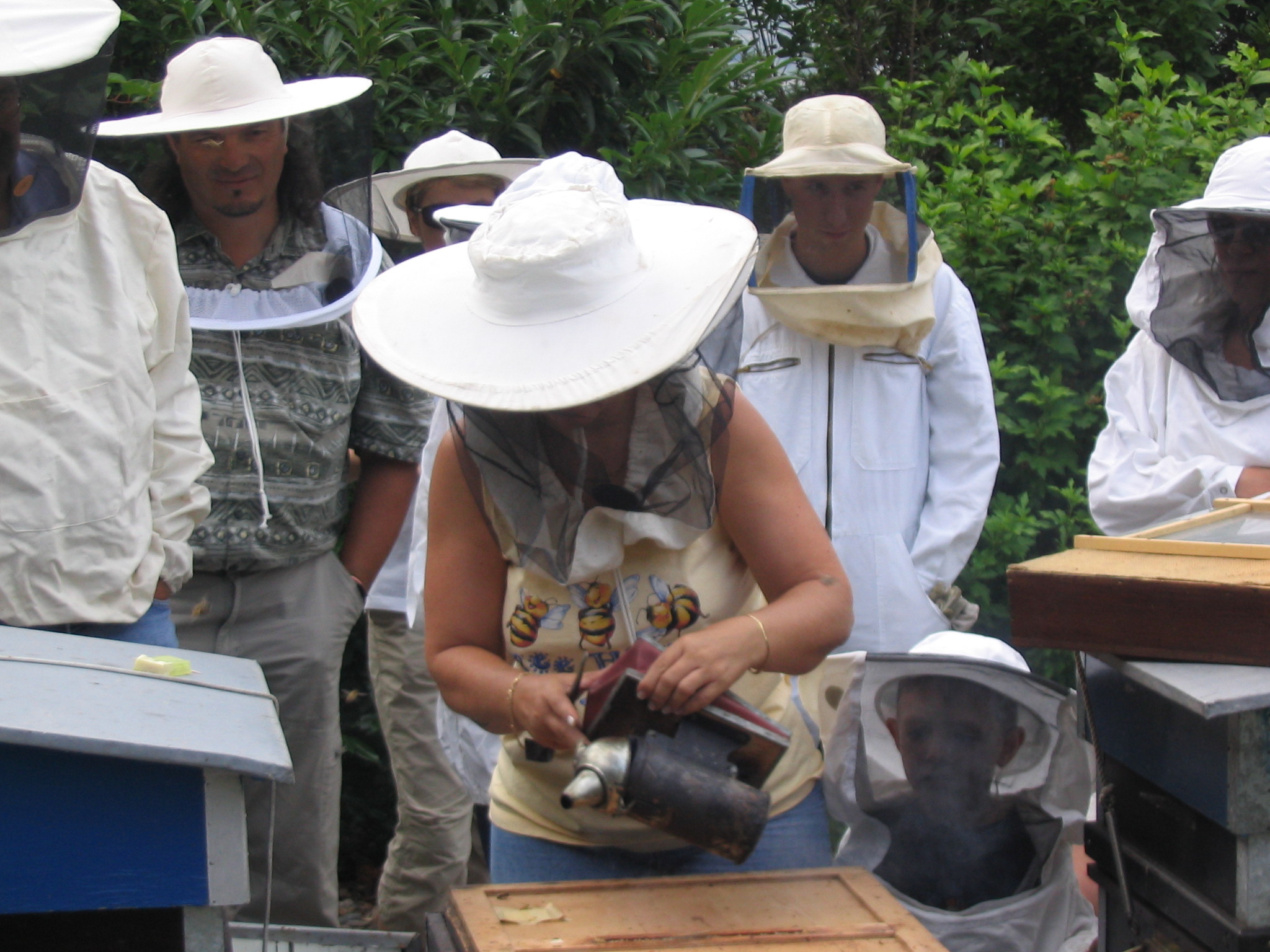 À propos - Apidecouverte