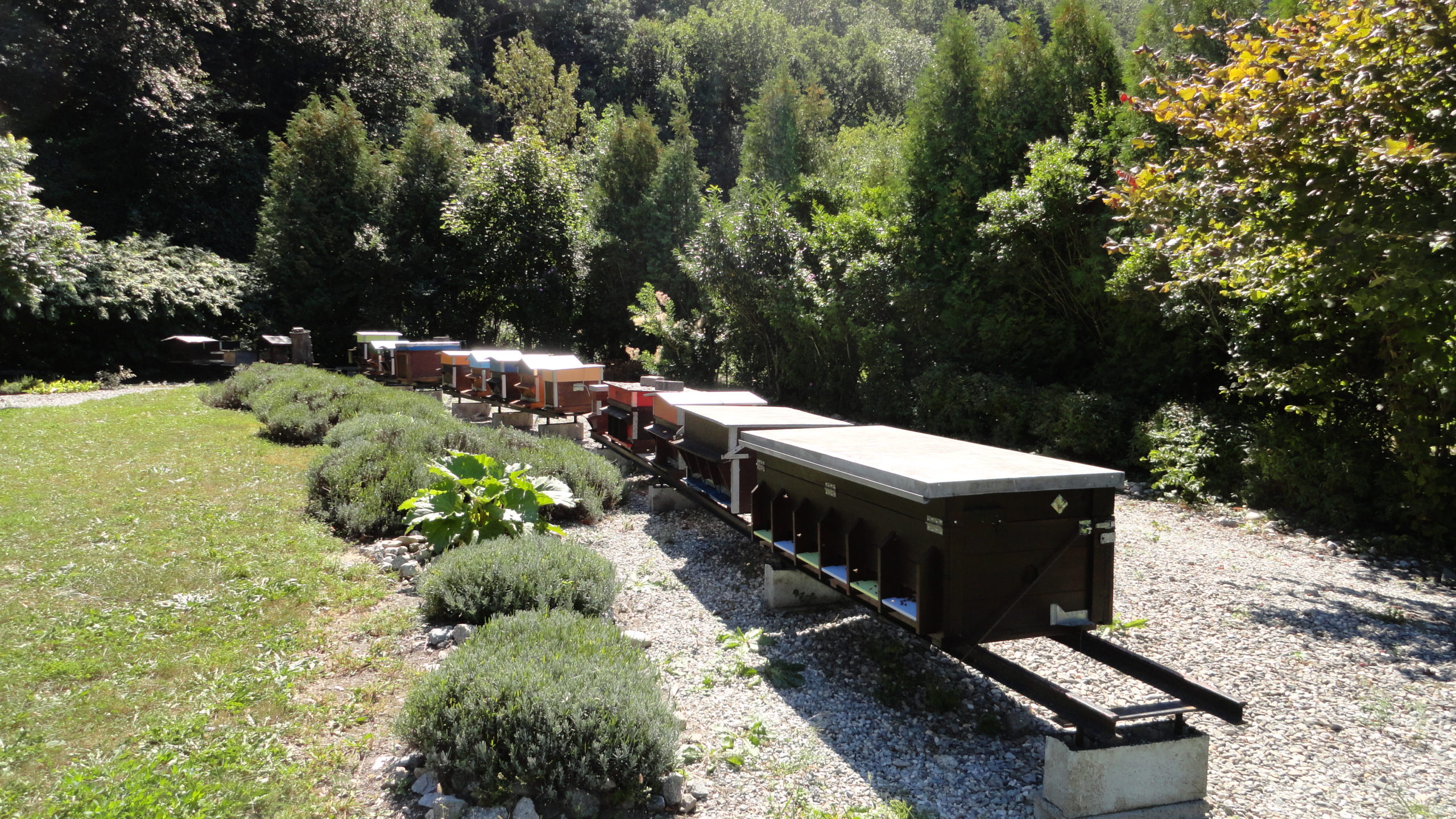 Accueil - Apidecouverte